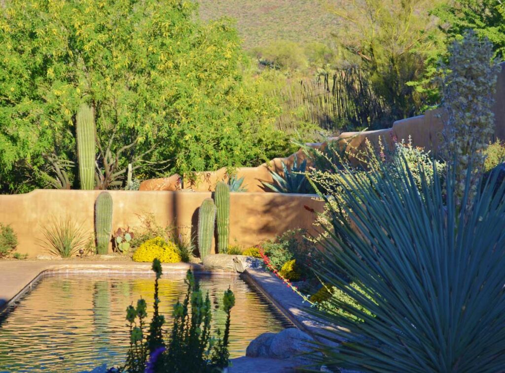 Desert Sublime | Landscape Design West